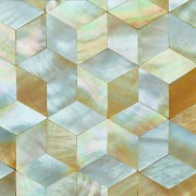 Golden Lip Mother of Pearl « Product categories « ShellShock Designs