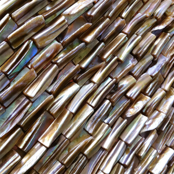 Natural River Shell Teeth with Cut Edges or Natural Edges « ShellShock ...