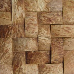 Coconut Shell Mosaics – ShellShock Designs