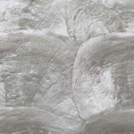 Capiz Shell Tiles and Panels « Product categories « ShellShock Designs