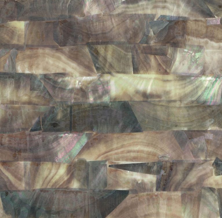 Natural Shell Laminate Veneers – ShellShock Designs