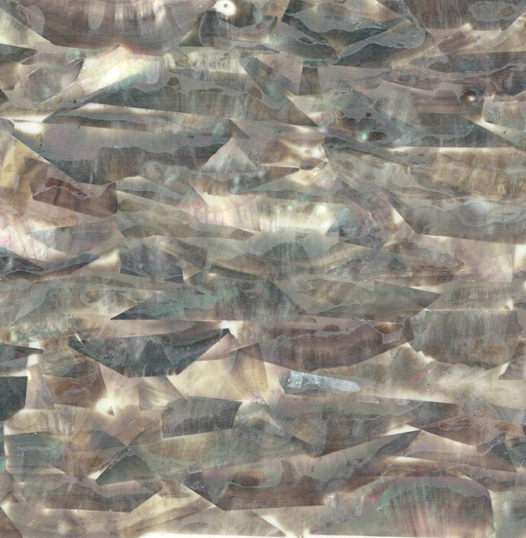 Natural Shell Laminate Veneers – ShellShock Designs