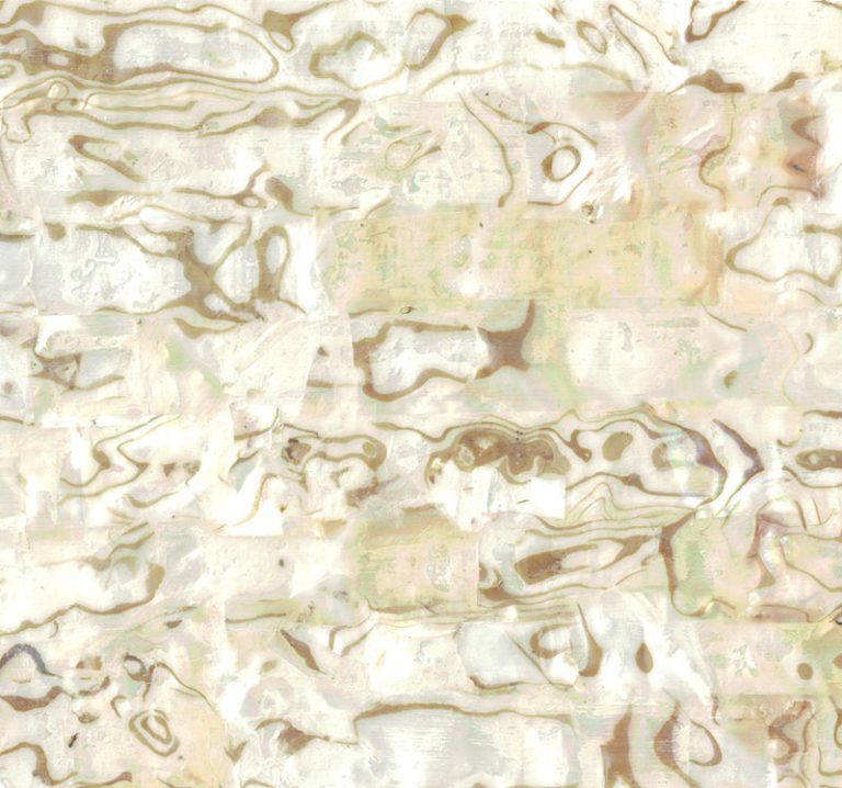 Natural Shell Laminate Veneers – ShellShock Designs