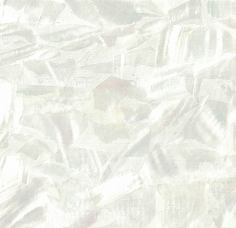 Natural Shell Laminate Veneers – ShellShock Designs