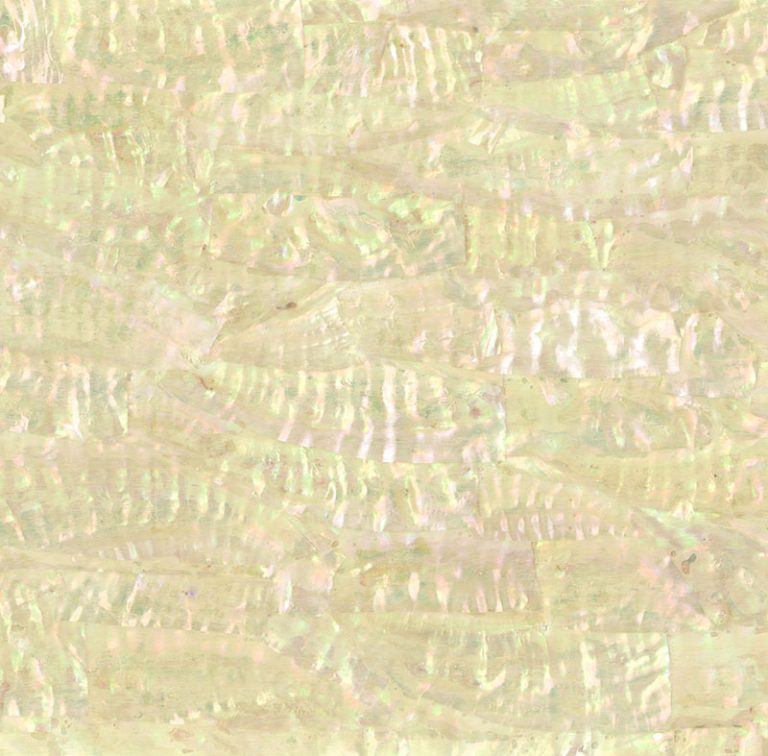 Natural Shell Laminate Veneers – ShellShock Designs