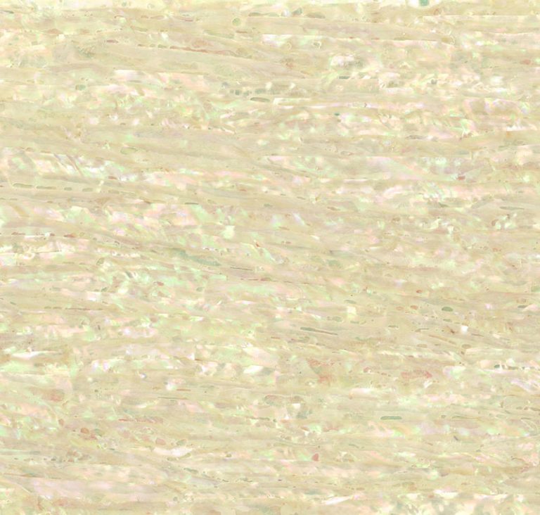 Natural Shell Laminate Veneers – ShellShock Designs