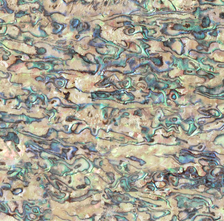 Natural Shell Laminate Veneers – Page 2 – ShellShock Designs