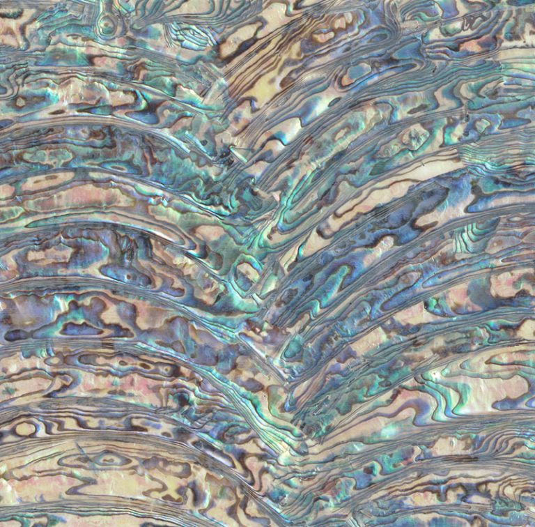 Natural Shell Laminate Veneers – ShellShock Designs