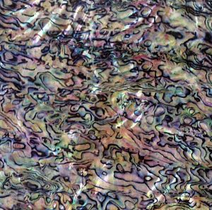 Natural Shell Laminate Veneers – ShellShock Designs