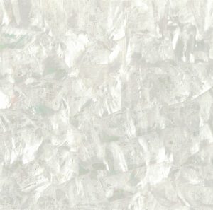 Natural Shell Laminate Veneers – ShellShock Designs