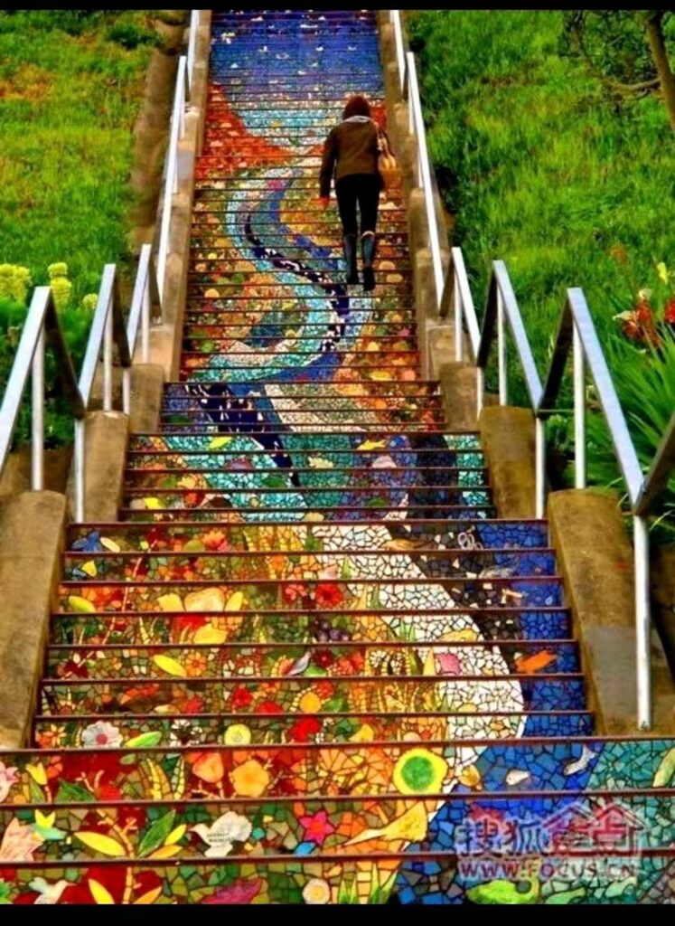 Browse Our Collections – ShellShock Designs