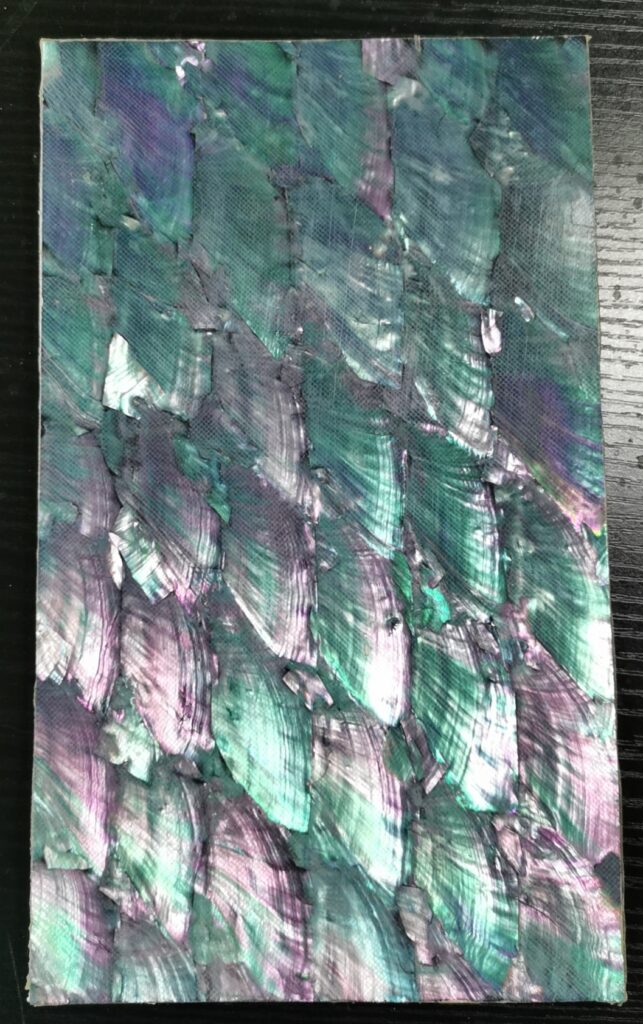 Donkey’s Ear Abalone – ShellShock Designs