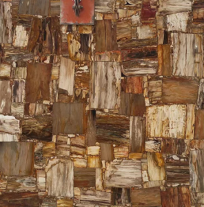 Browse Our Collections – ShellShock Designs