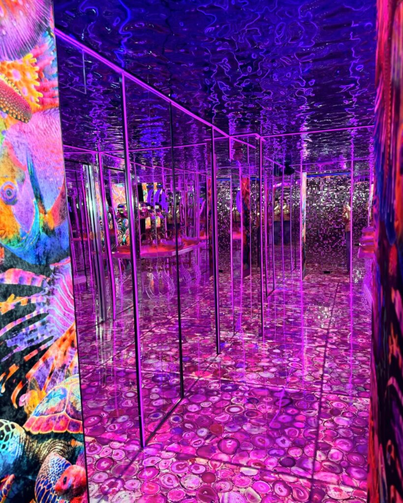 ShellShock Designs – Exquisite Interior Design Naturally